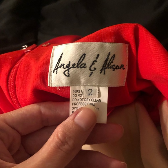 Angela & Alison | Dresses | Angela And Alison Long Sleeve Sheer Red ...